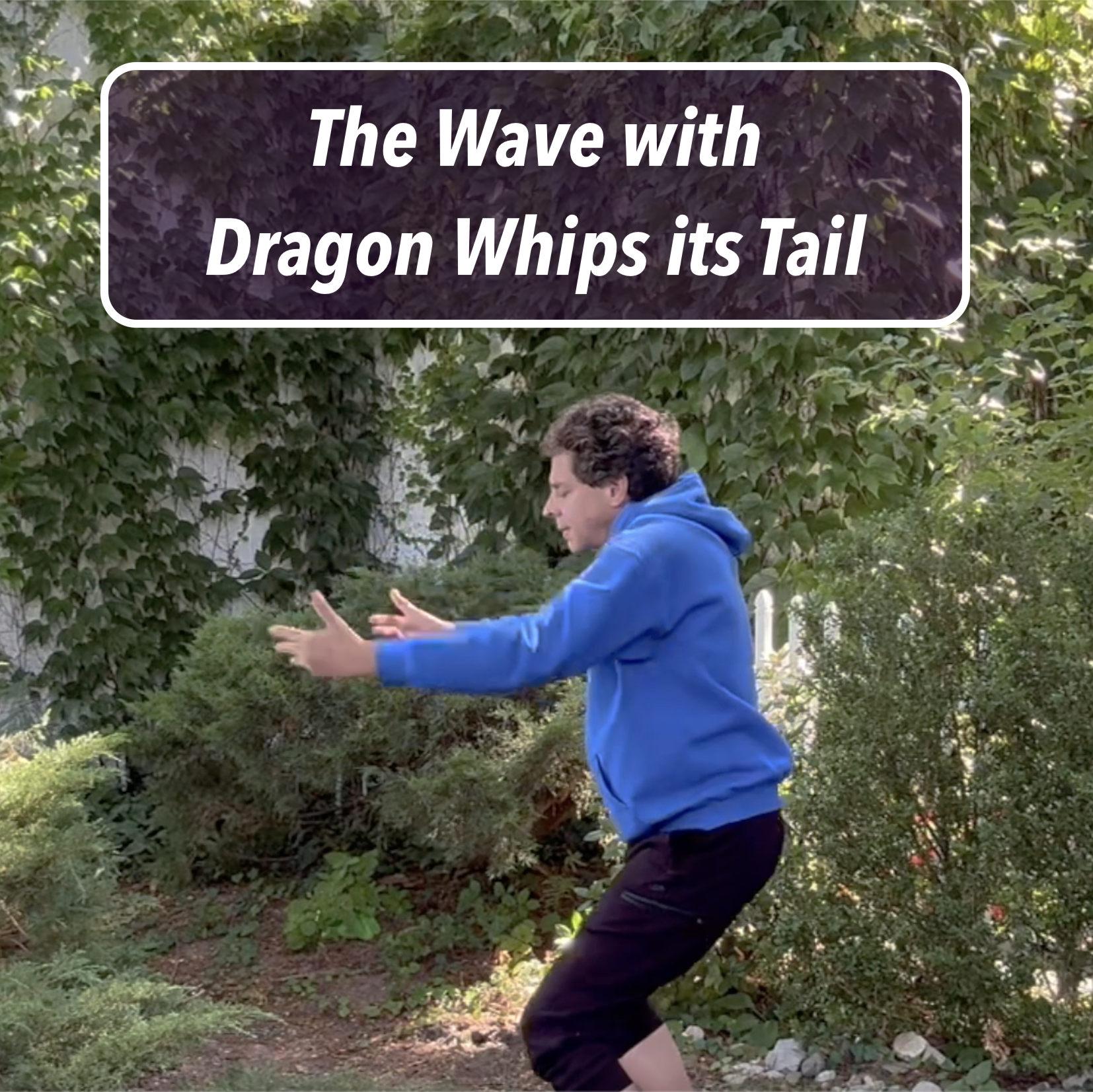 Dragon Whips It’s Tail – with the Wave – Club Qigong