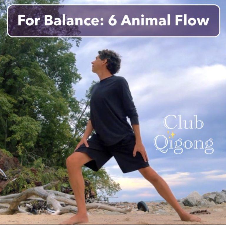 Six Animal Forms: Balance in Motion – Club Qigong